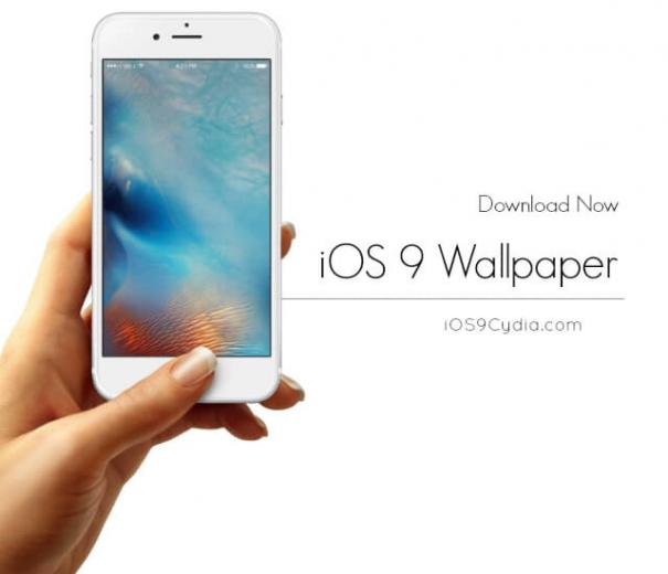 Free download ios 9 wallpaper download [640x550] for your Desktop ...