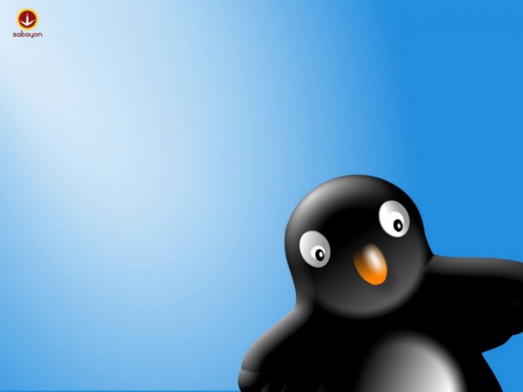 🔥 Free Download Fondos De Escritorio Anti Windows Muylinux by @ashleyn8 ...