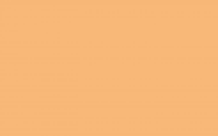 🔥 [40+] Apricot Backgrounds | WallpaperSafari
