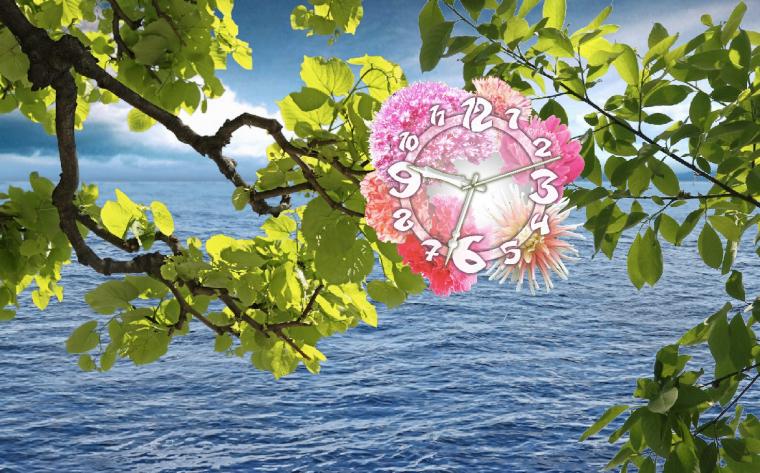 🔥 [100+] Live Wallpapers for Laptops Free | WallpaperSafari