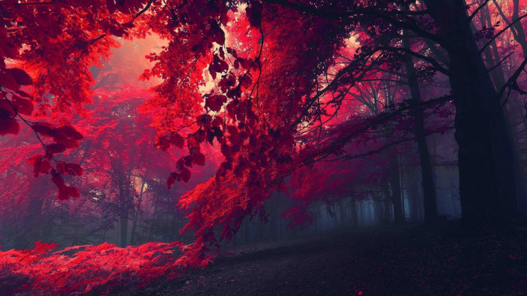 🔥 Free Download Dark Red Wallpaper by @scottbailey | WallpaperSafari