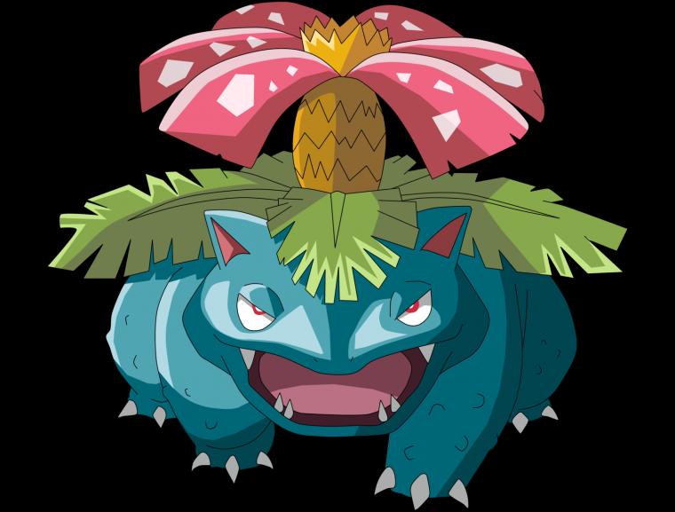 🔥 [120+] Venusaur HD Wallpapers | WallpaperSafari