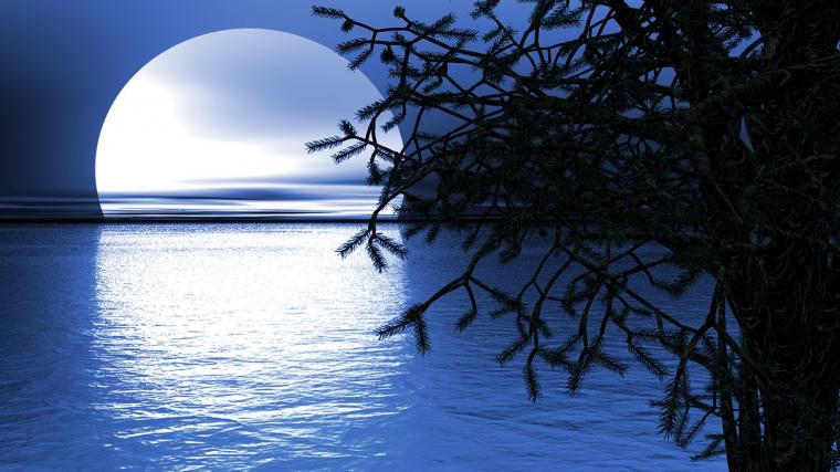 🔥 [20+] Lucid Backgrounds | WallpaperSafari