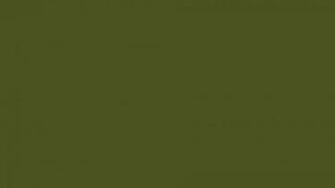 🔥 Free Download Army Green Grunge Leather Texture Background Photohdx ...