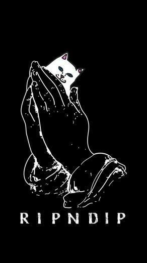 🔥 Free Download Lord Nermal Ripndip Iphone Wallpaper | WallpaperSafari