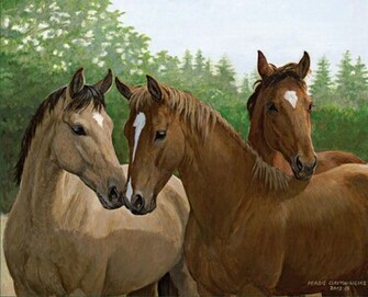 🔥 Free Download November Able Wallpaper by @dgordon16 | WallpaperSafari