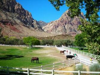 Free download Skinwalker Ranch HD Wallpapers Backgrounds [1280x959] for ...
