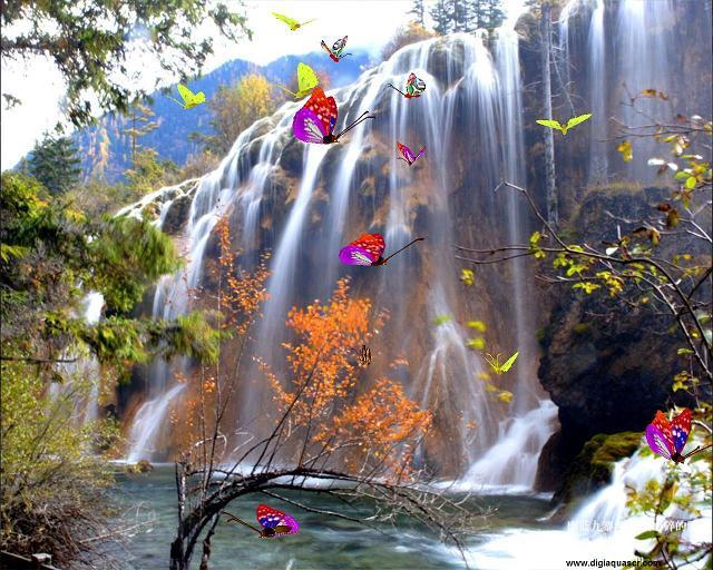 Free download 3D Butterfly Screensaver 140 by digiaquascr 3D Butterfly ...