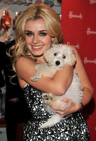 Free download katherine jenkins wallpaper [1024x640] for your Desktop ...