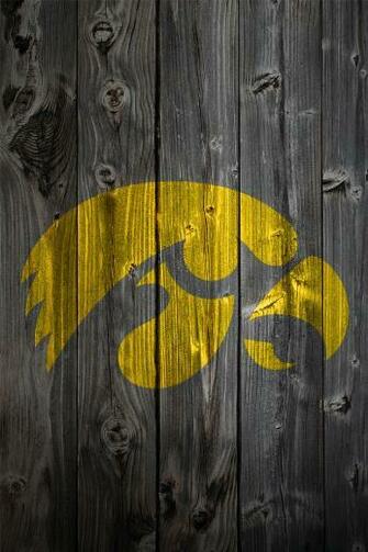 Free download Iowa Hawkeyes [1365x1024] for your Desktop, Mobile ...