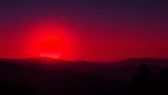 🔥 Free Download Tokidoki Adios Wallpaper Inspired By by @pruiz ...