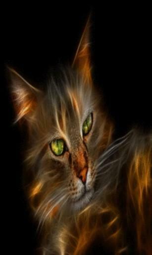 Free download 3D COMES WITH FIRE Cats Wallpaper [2000x1249] for your ...