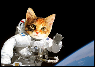 Free download Cat astronaut on the moon wallpapers and images ...
