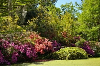 [67+] Spring Garden Wallpaper on WallpaperSafari