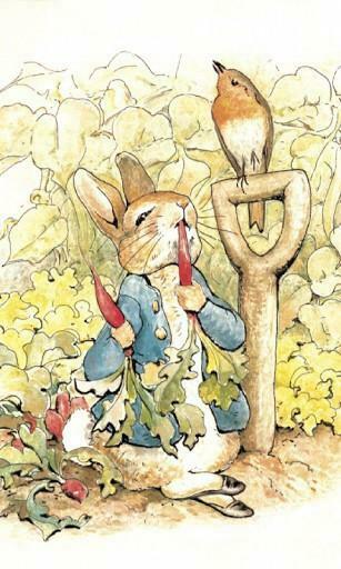 Free download peter rabbit pictures peter rabbit Wallpaper peter rabbit ...