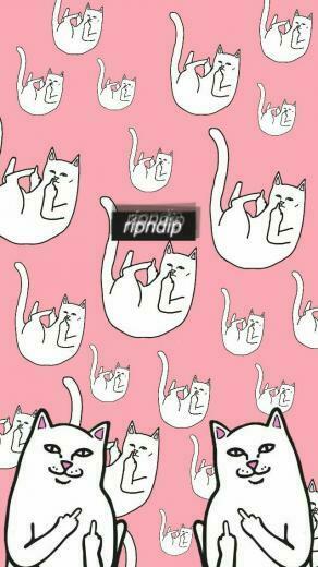 Free download Ripndip iphone wallpaper ripndip middle finger cat ...