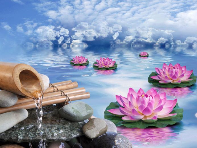 Free download Download Relaxing Nature Screensaver Relaxing Nature ...